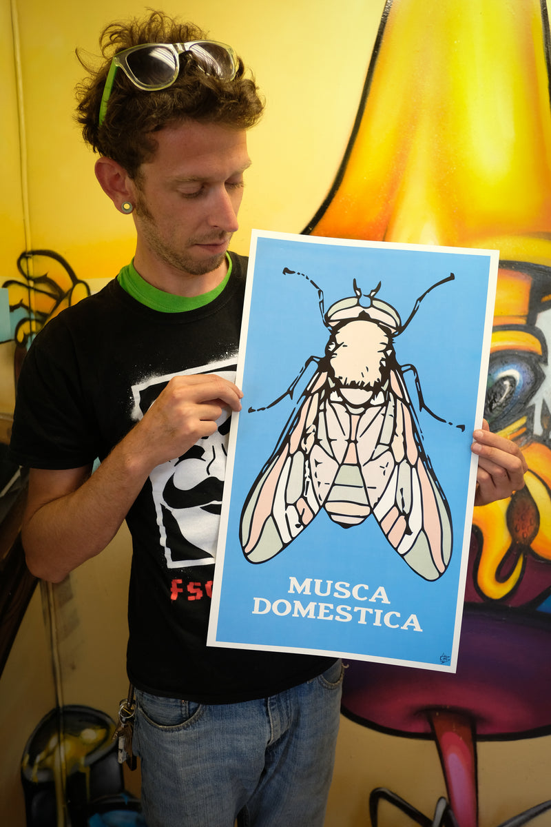 Musca Domestica 13”x22” Vintage Style Showprint Poster - Home Nostalgi ...