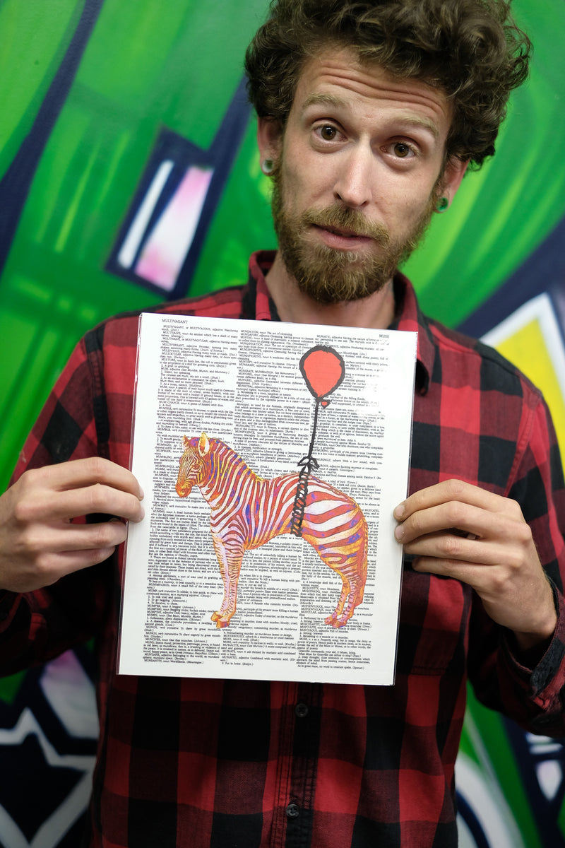 Floating Zebra 8.5"x11" Semi Translucent Dictionary Art Print – Per ...